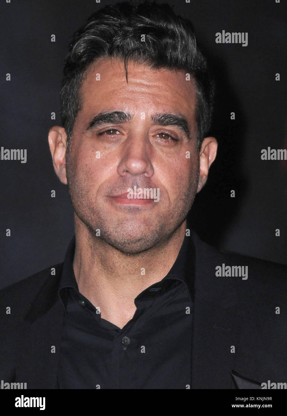 Hollywood, USA. 11th Dec, 2017. Actor Bobby Cannavale attends the ...