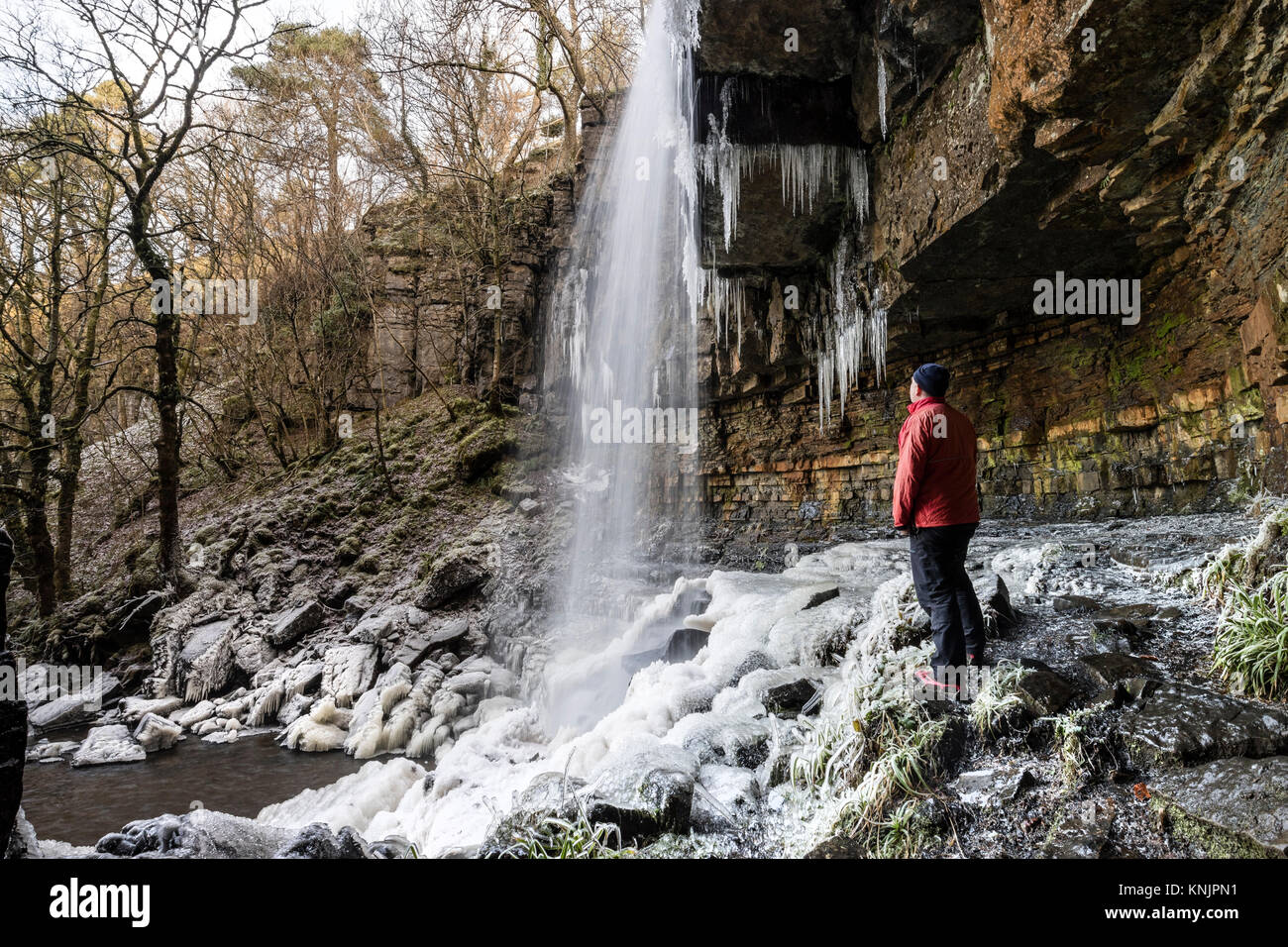 Ashgill Force, Garrigill, Cumbria UK. Tuesday 12th December 2017. UK ...