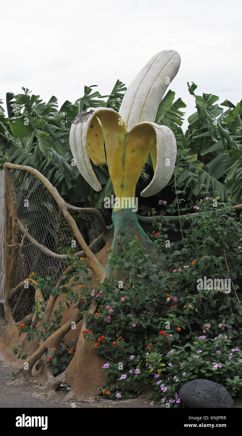 A banana sculpture on the edge of a banana plantation in Puerto Naos on ...