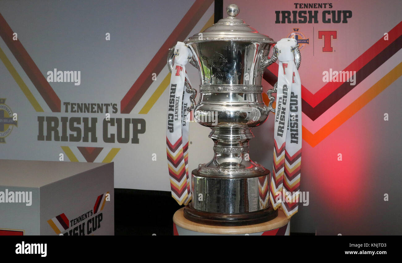 Irish cup trophy and ribbons hi-res stock photography and images - Alamy