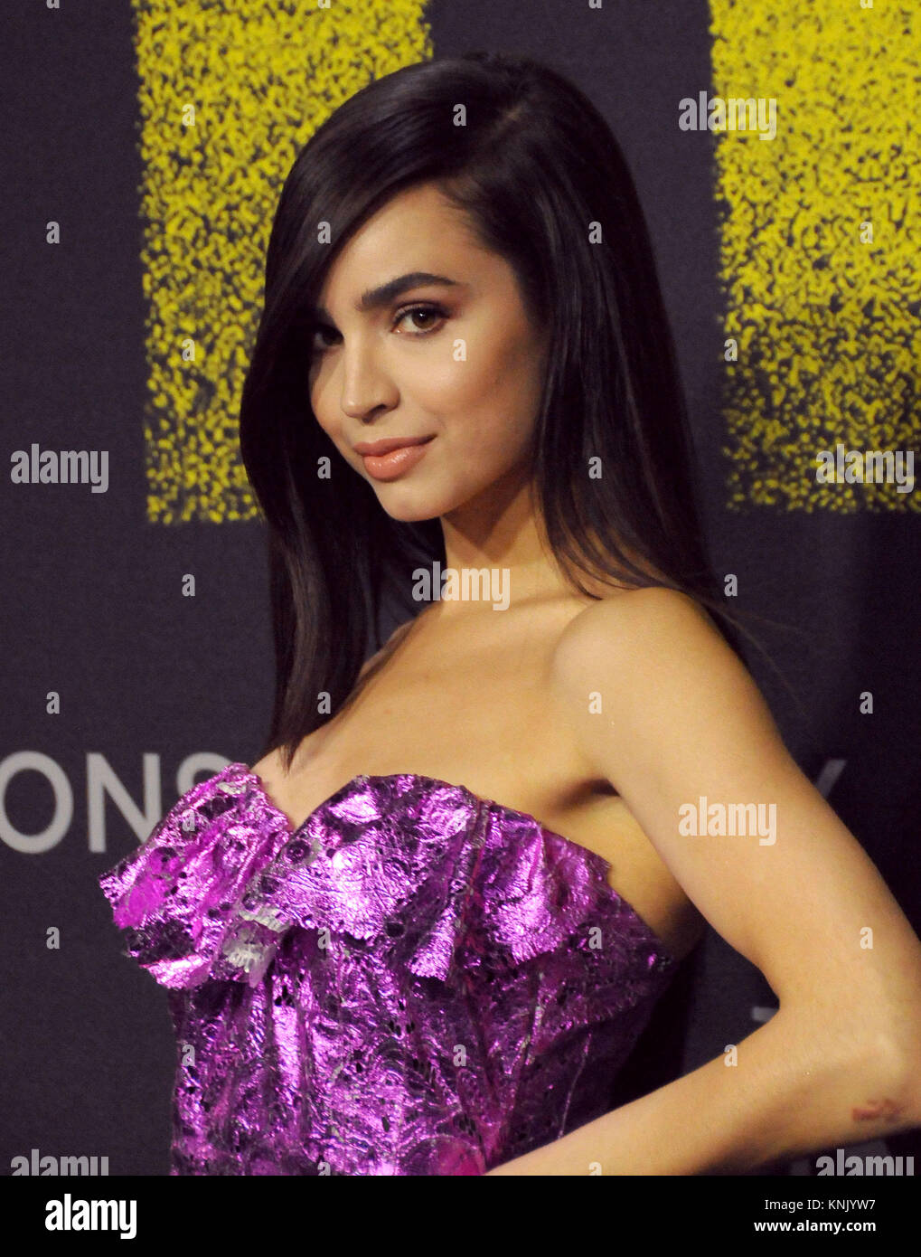 Hollywood, USA. 12th Dec, 2017. Singer Sofia Carson attends the ...