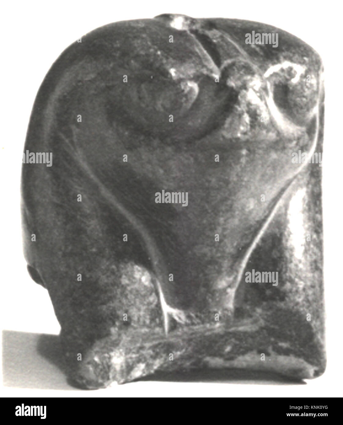 A detailed depiction of a falcon’s head from MET, showing beak, eyes ...