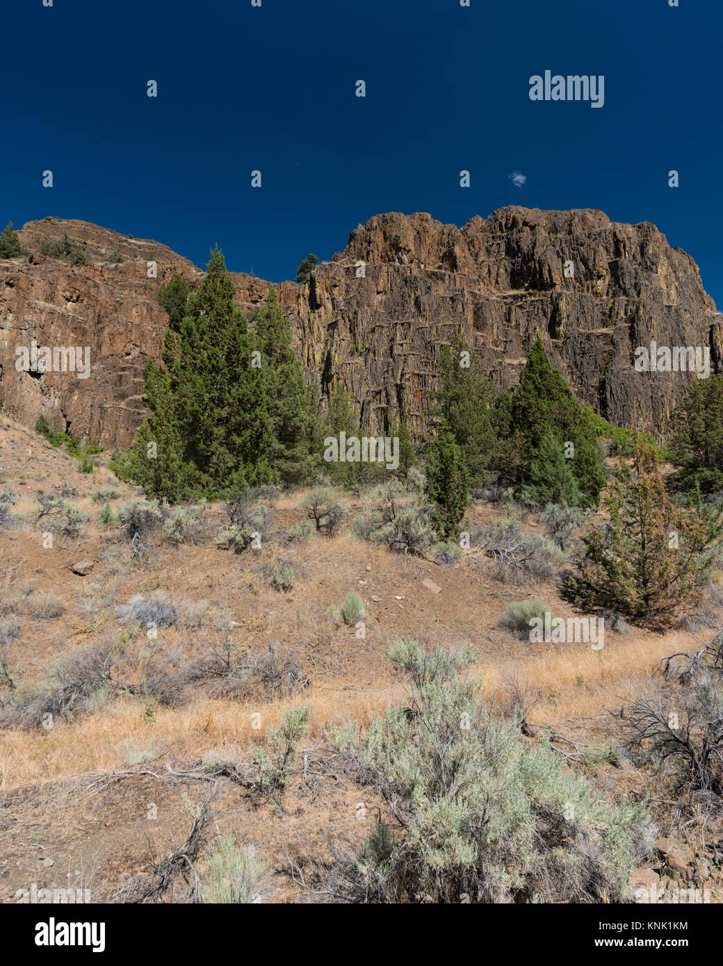 John day river hi-res stock photography and images - Alamy