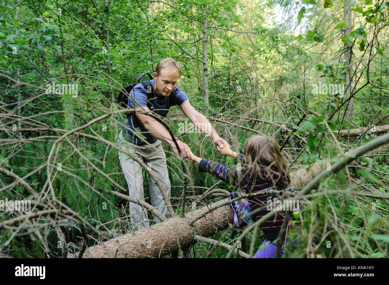 Helping direction in forest hi-res stock photography and images - Alamy