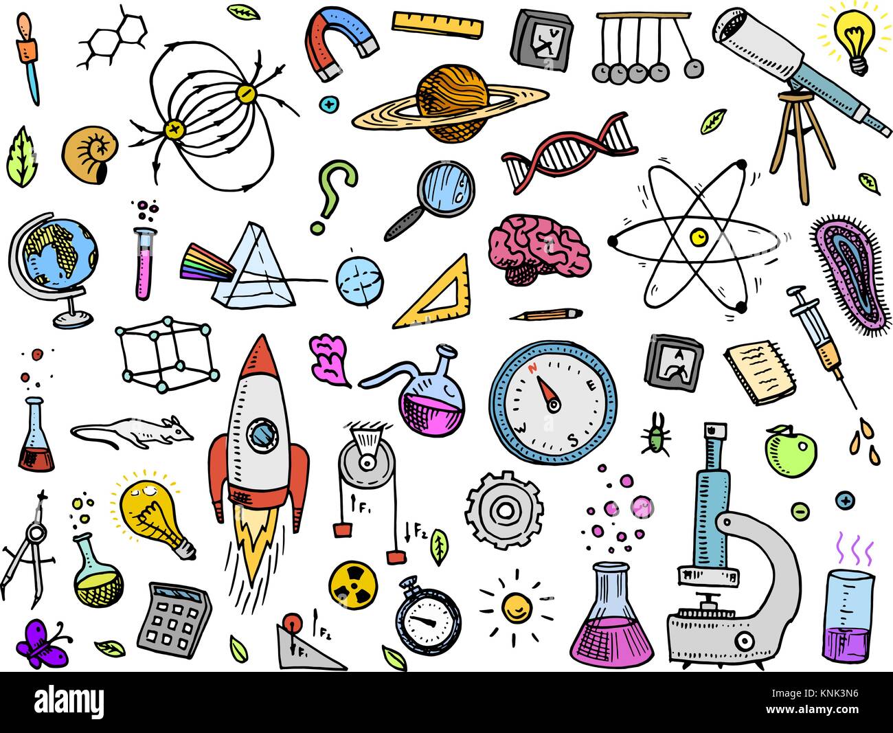 engraved hand drawn in old sketch and vintage style. scientific ...