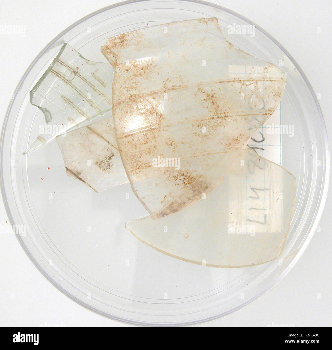 Photograph of glass fragments from the MET collection, catalog cop0092 ...