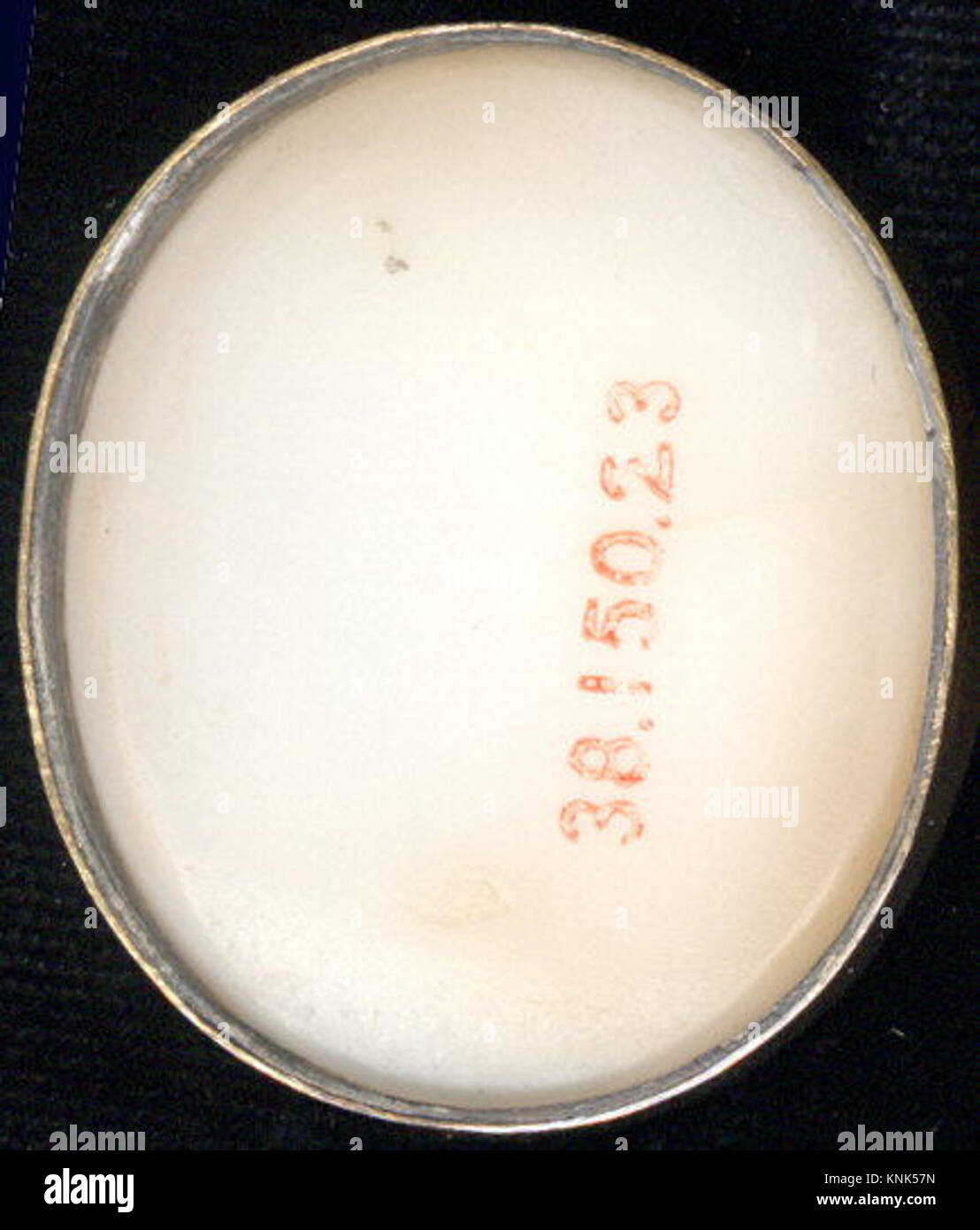 Cameo depicting Hercules and the Nemean Lion within a decorative ...