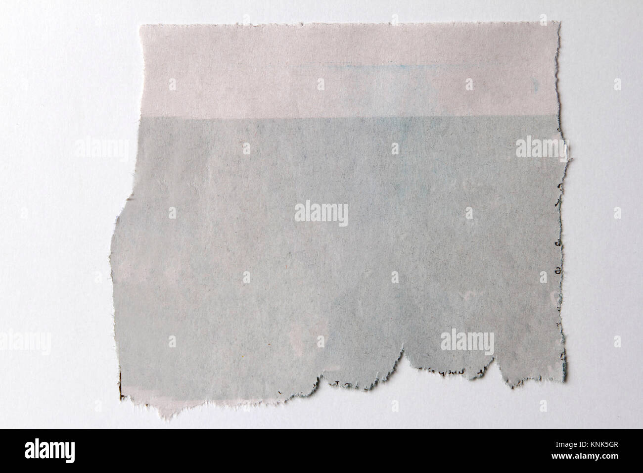 Piece of torn blank paper Stock Photo - Alamy