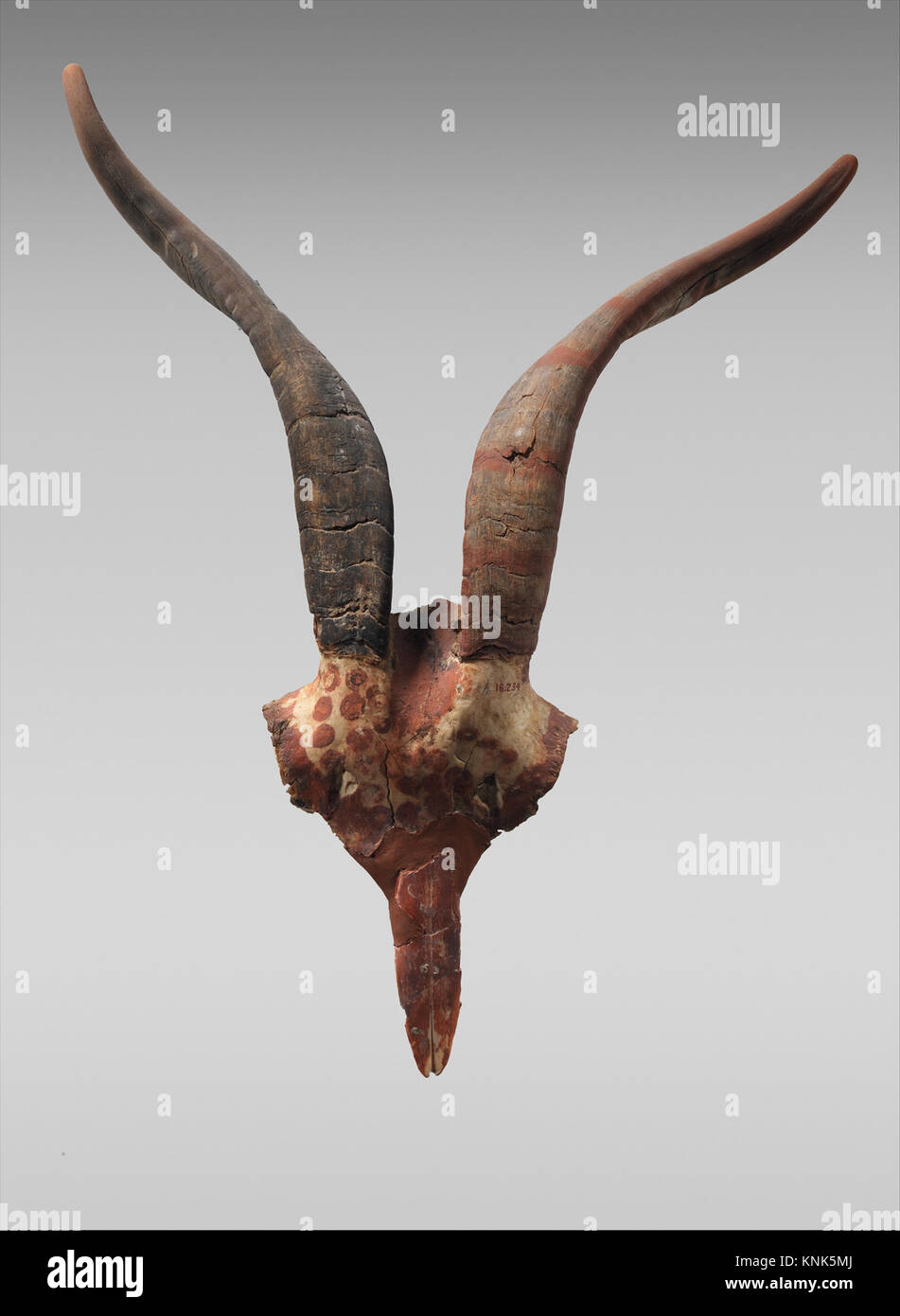 Bucranium MET DP273734 559399 Stock Photo - Alamy