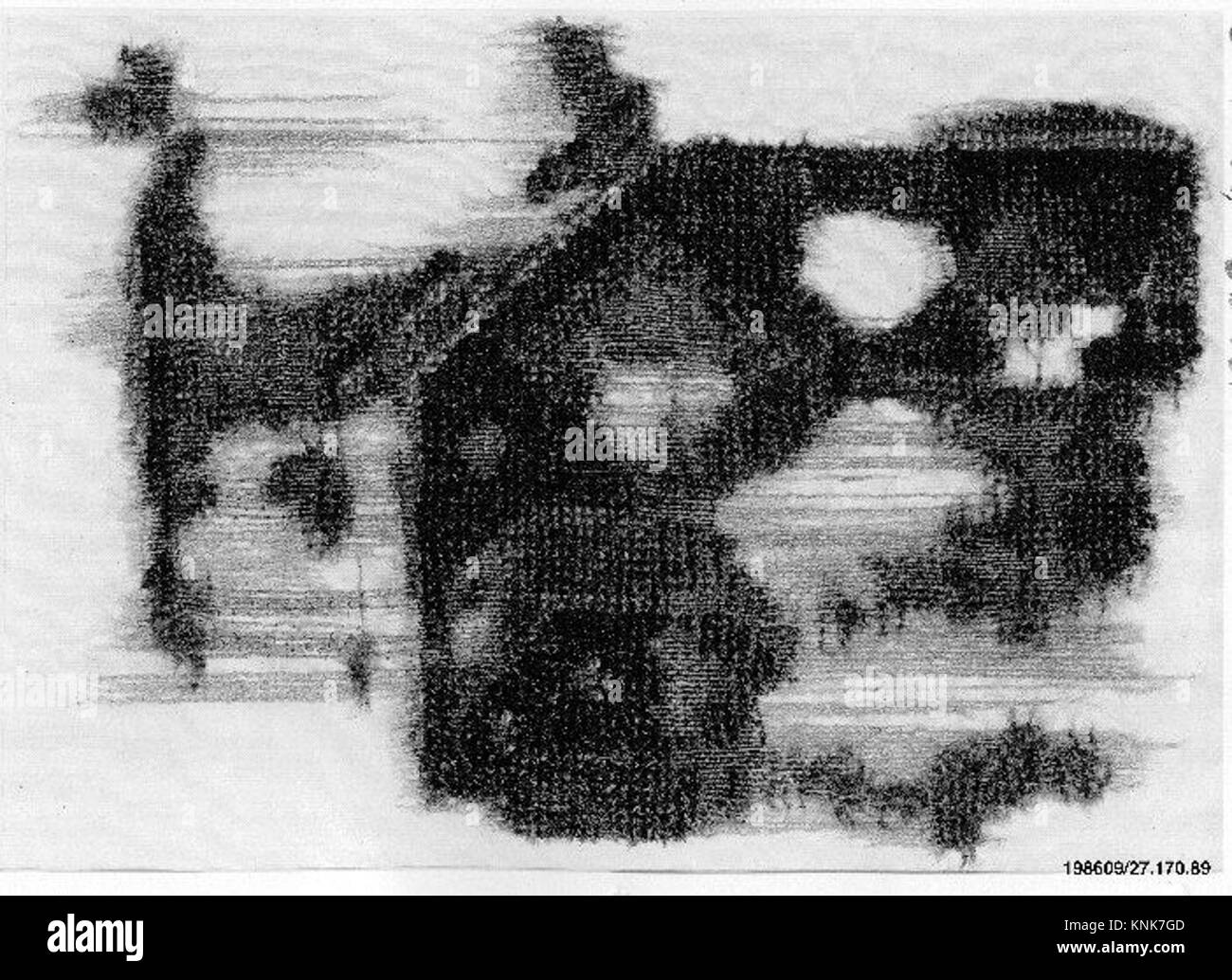 Bird weaving Black and White Stock Photos & Images - Alamy