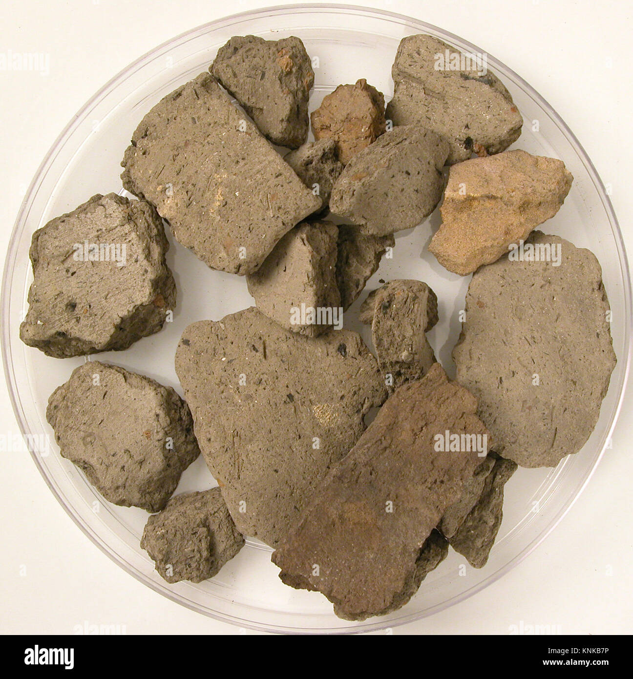 Fragments, 4th-7th century, Made in Kharga Oasis, Byzantine Egypt ...