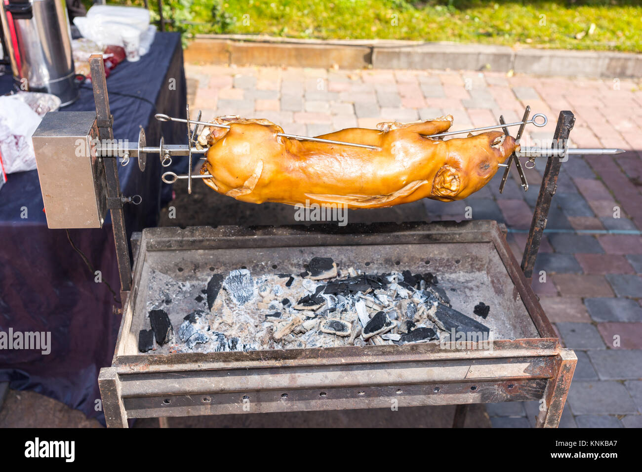 Roasted pig on a traditional spit outdoor. Food and beverages concept ...
