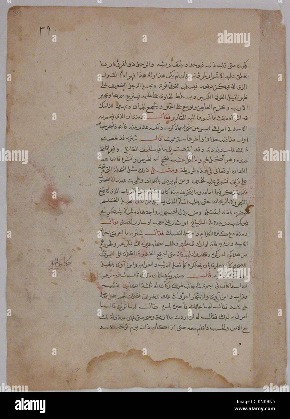 This 16th-century folio from Gujarat, India, depicts a lion and ...