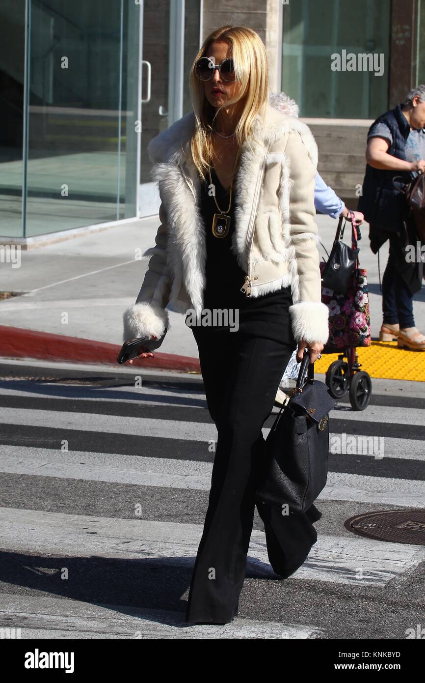 Rachel Zoe pays a parking meter before heading for lunch in West ...