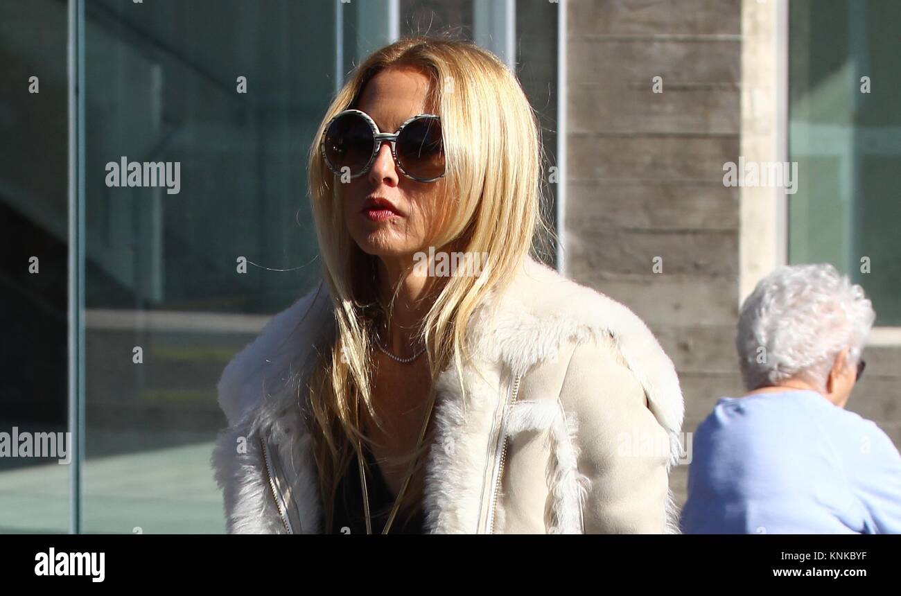 Rachel Zoe pays a parking meter before heading for lunch in West ...