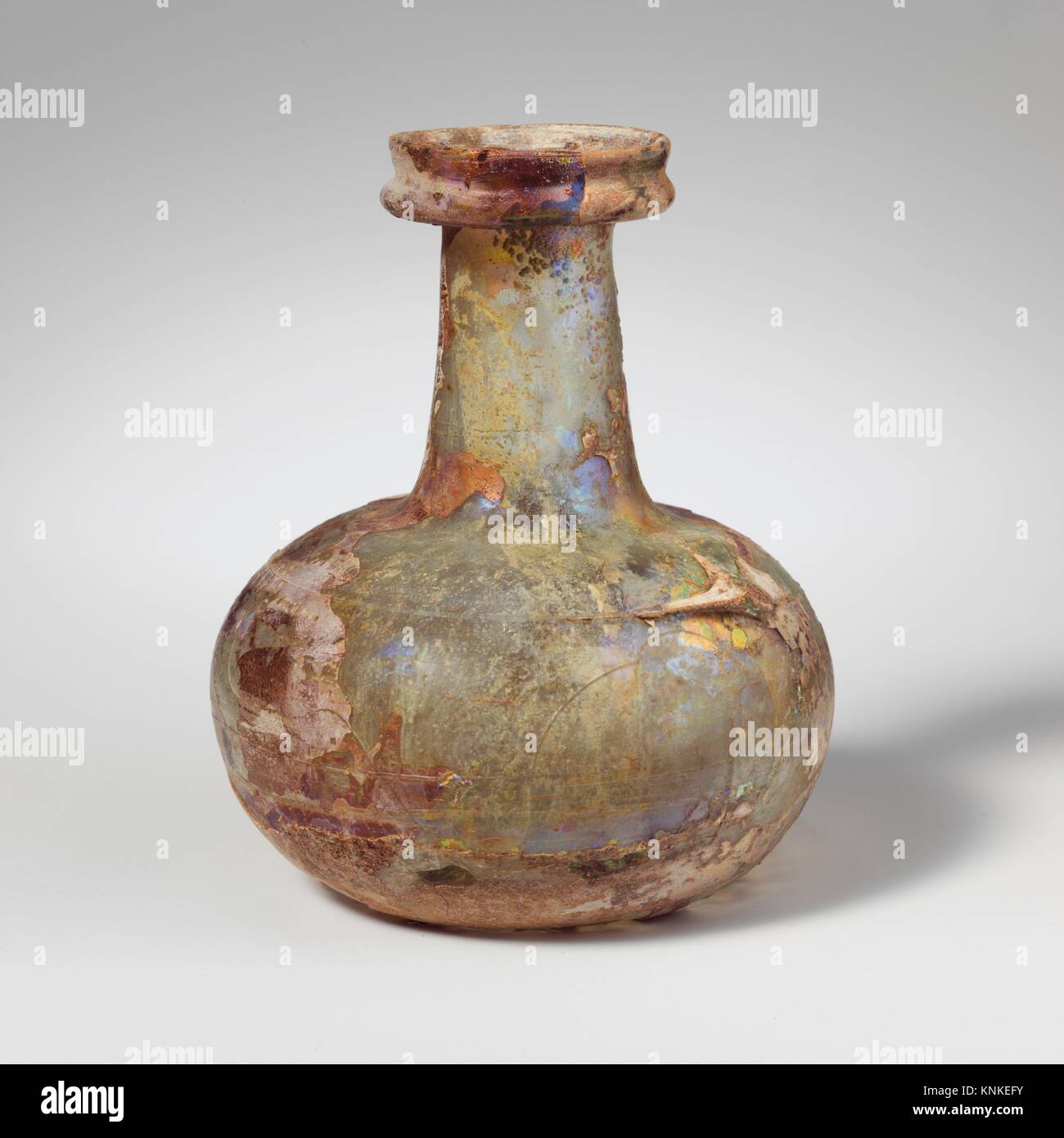 Collared collection hi-res stock photography and images - Alamy