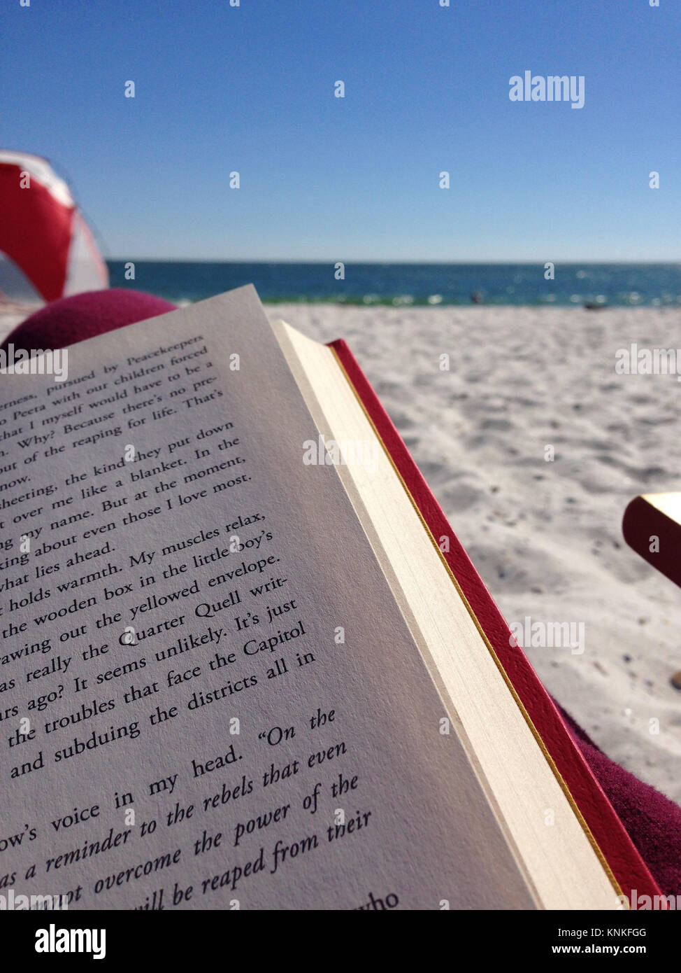 Reading at the beach on a clear day Stock Photo - Alamy