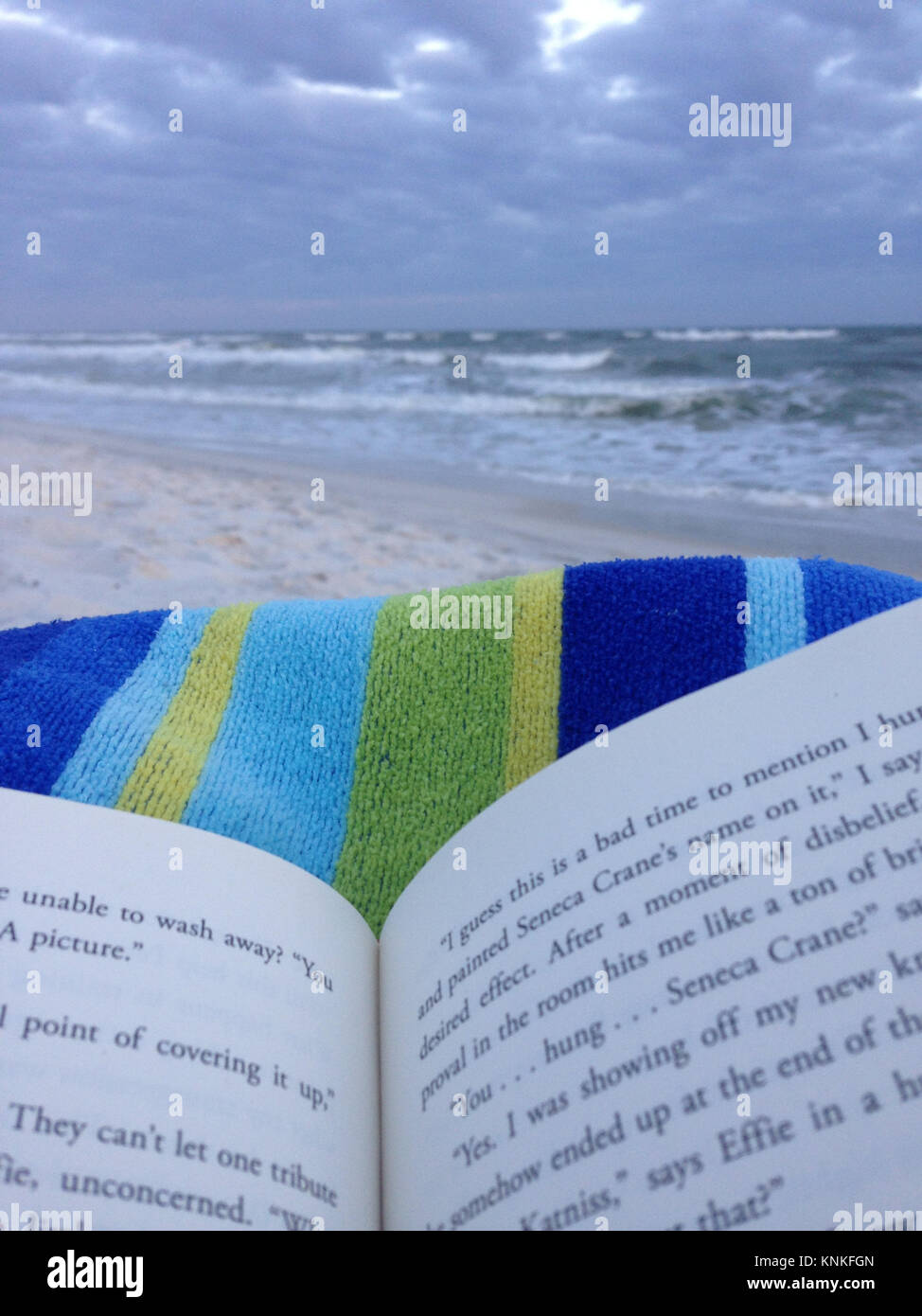 Reading a book on the beach Stock Photo - Alamy