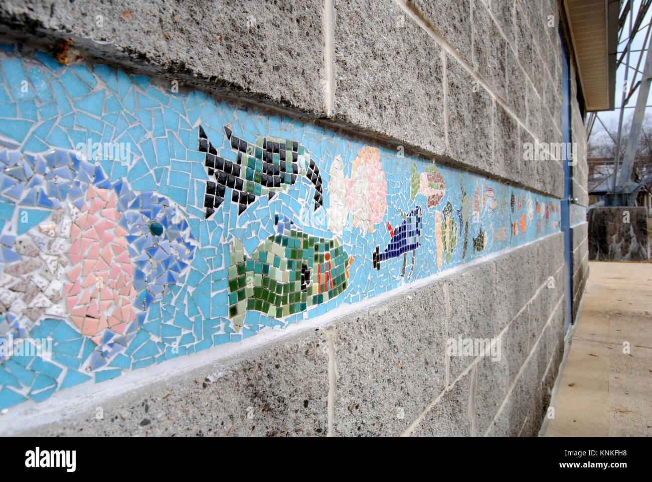 A stone wall with line of tile accent imaging fish in different colors ...