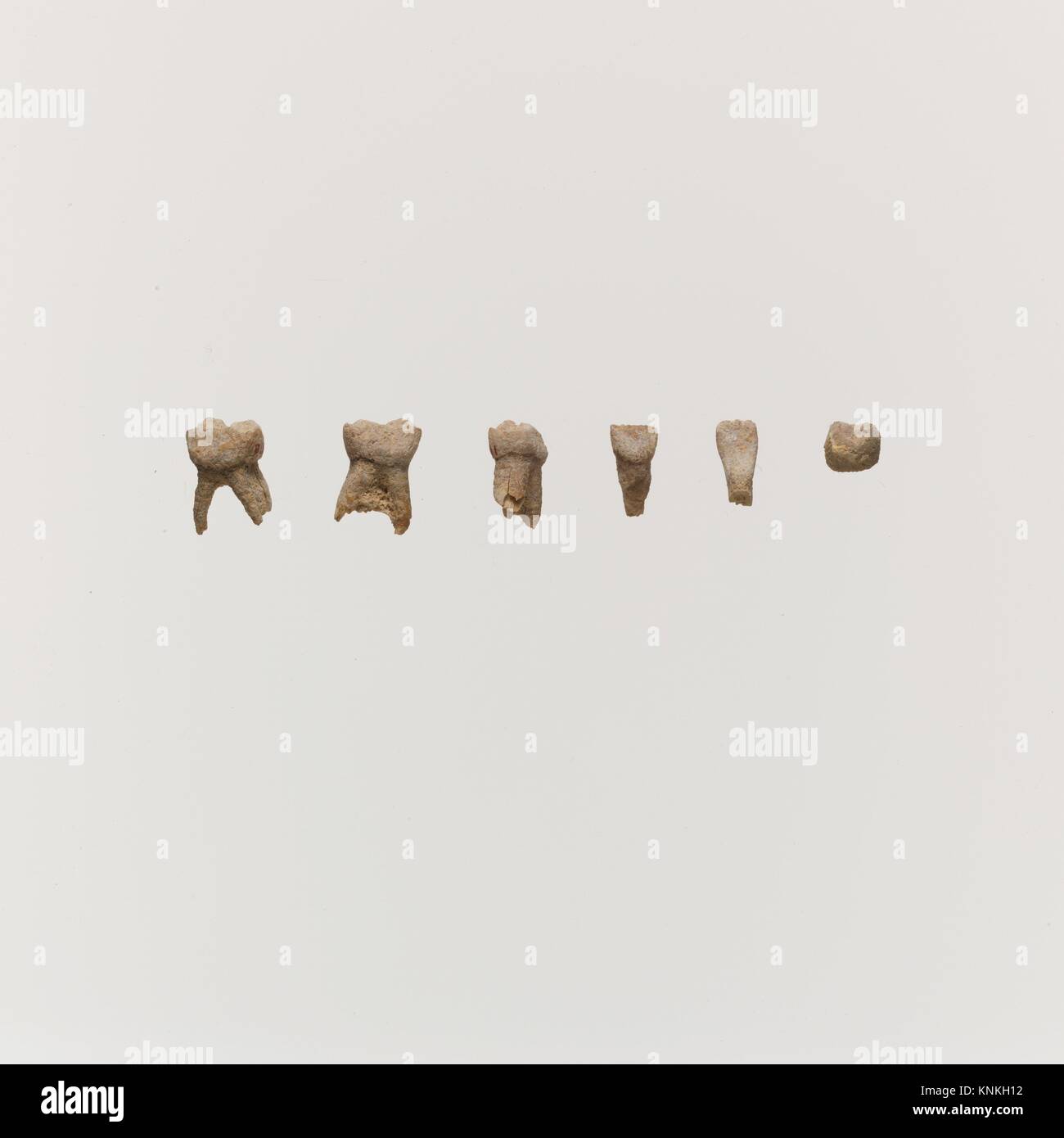 Length 3 8 cm hi-res stock photography and images - Alamy