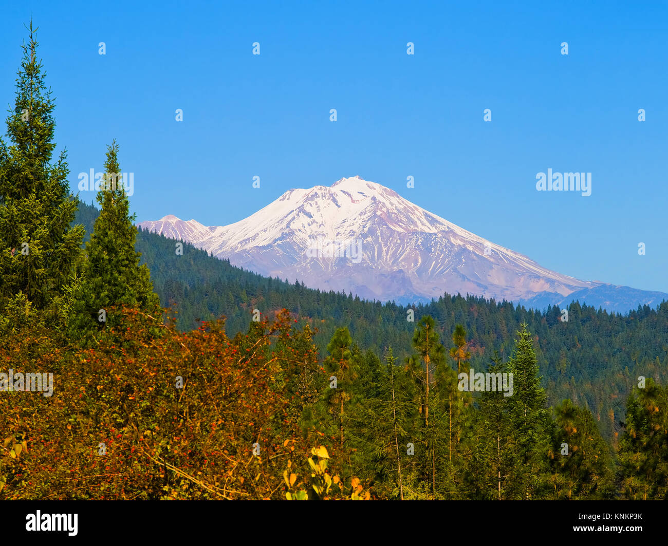Mount Shasta in Northern California Stock Photo - Alamy