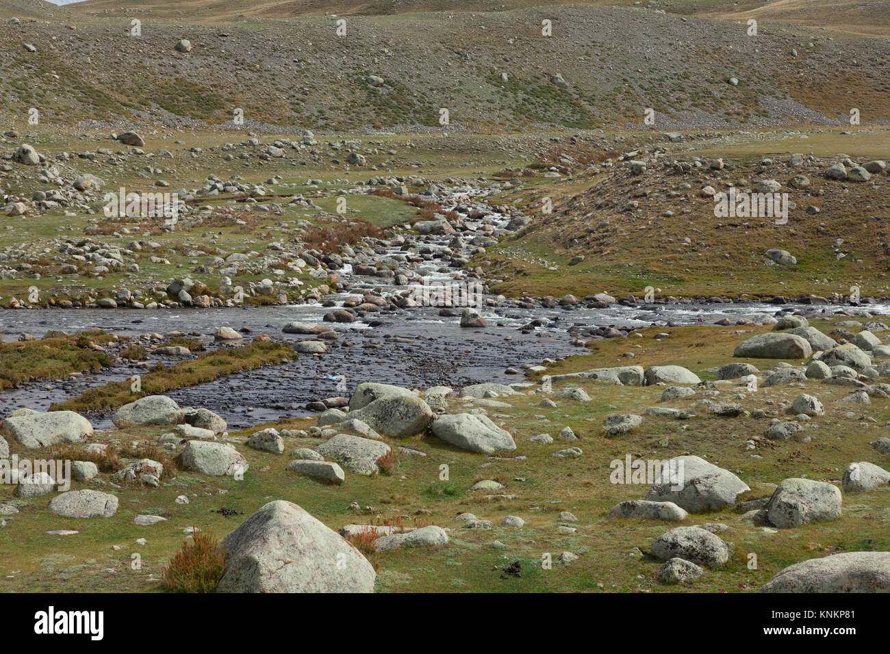 clear water in the rugged mountain river outdoors Stock Photo - Alamy