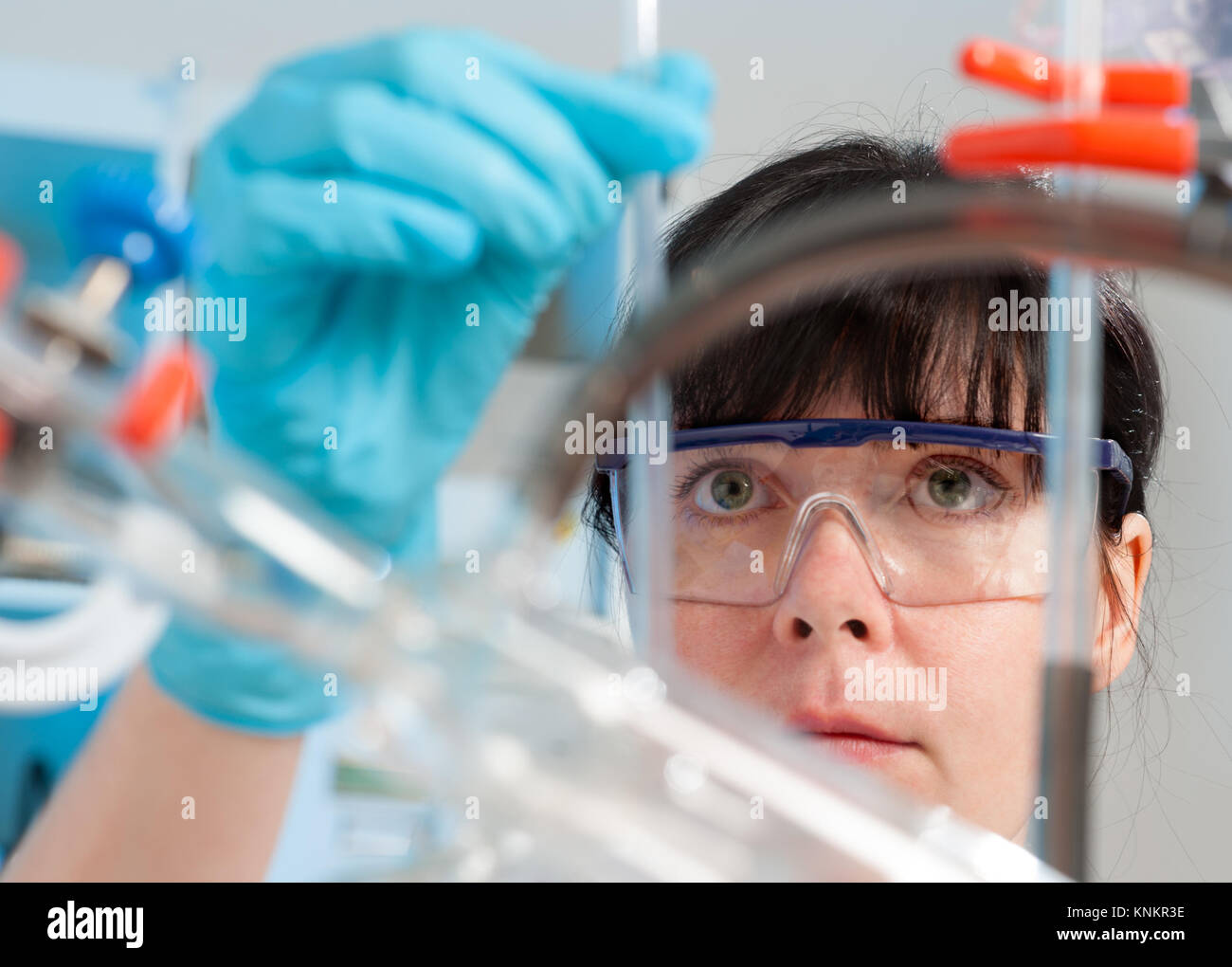Young female chemical tech sets up an experiment Stock Photo - Alamy