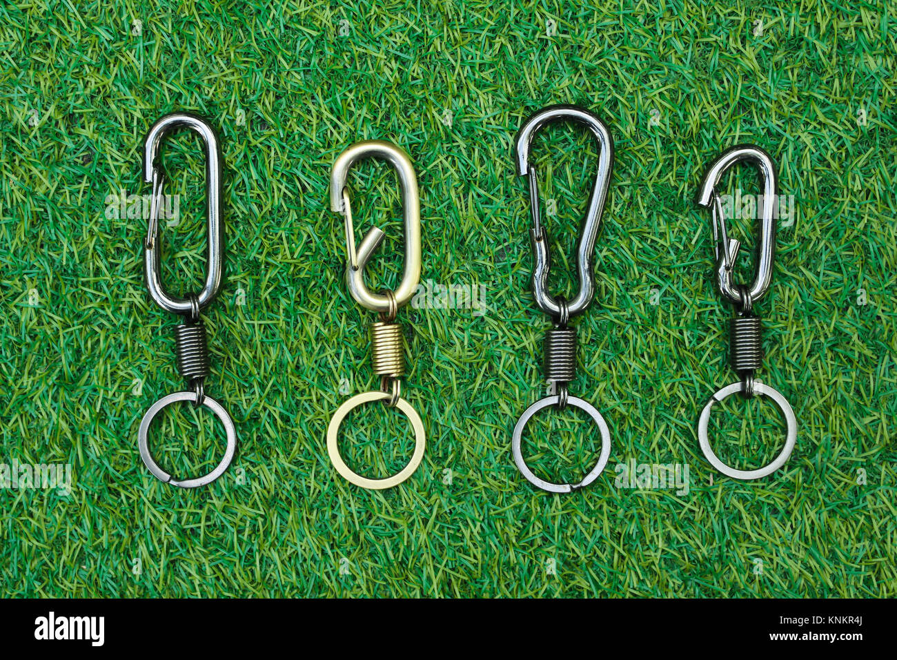 Group Key chain on grass Stock Photo - Alamy