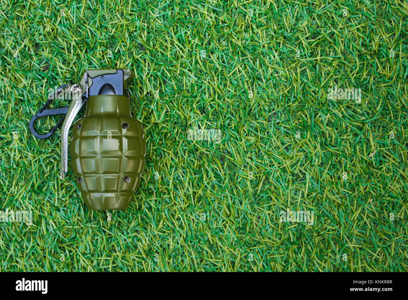 A grenade on grass Stock Photo - Alamy