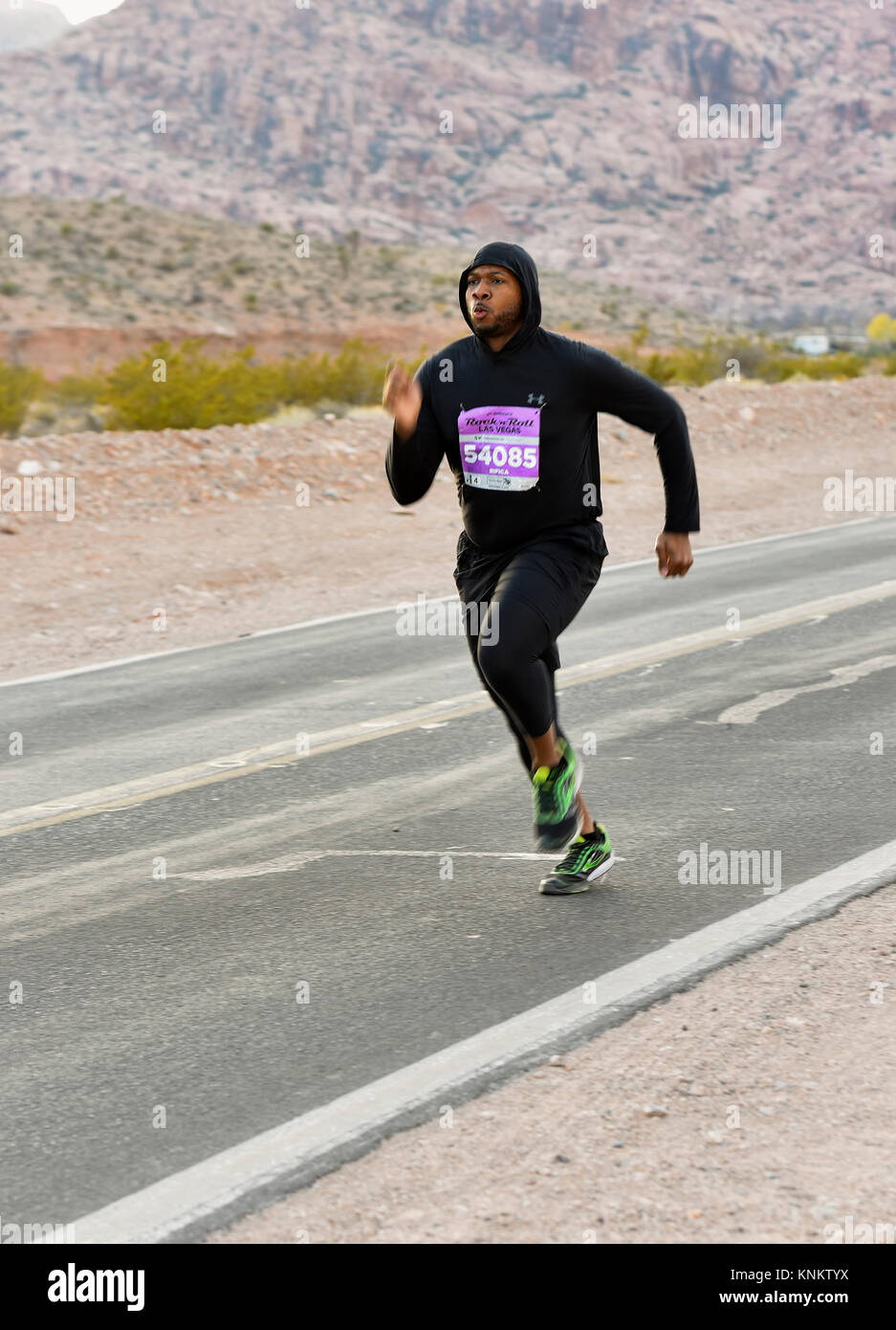 Nevada road runner hi-res stock photography and images - Alamy