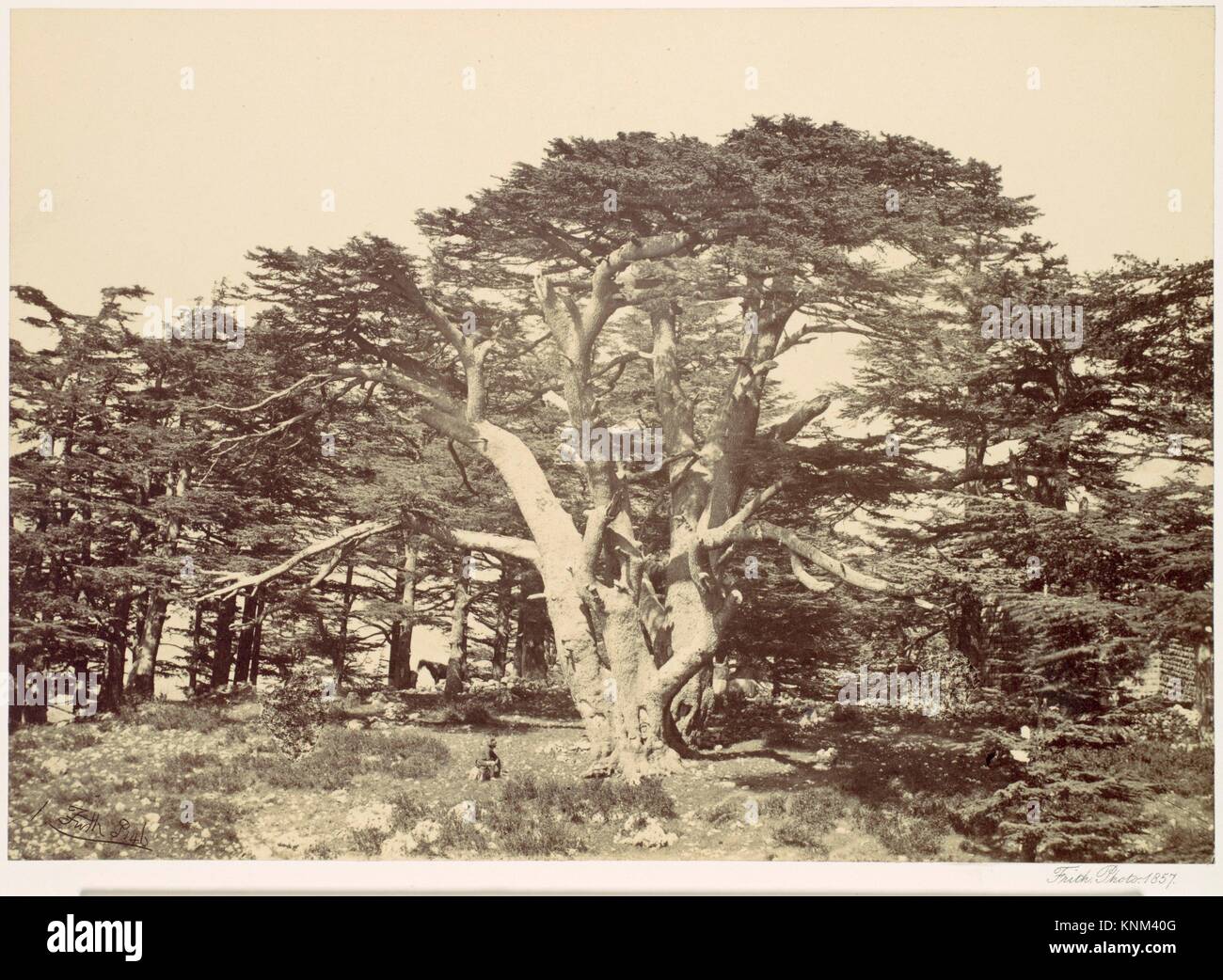 Michael frith hi-res stock photography and images - Alamy