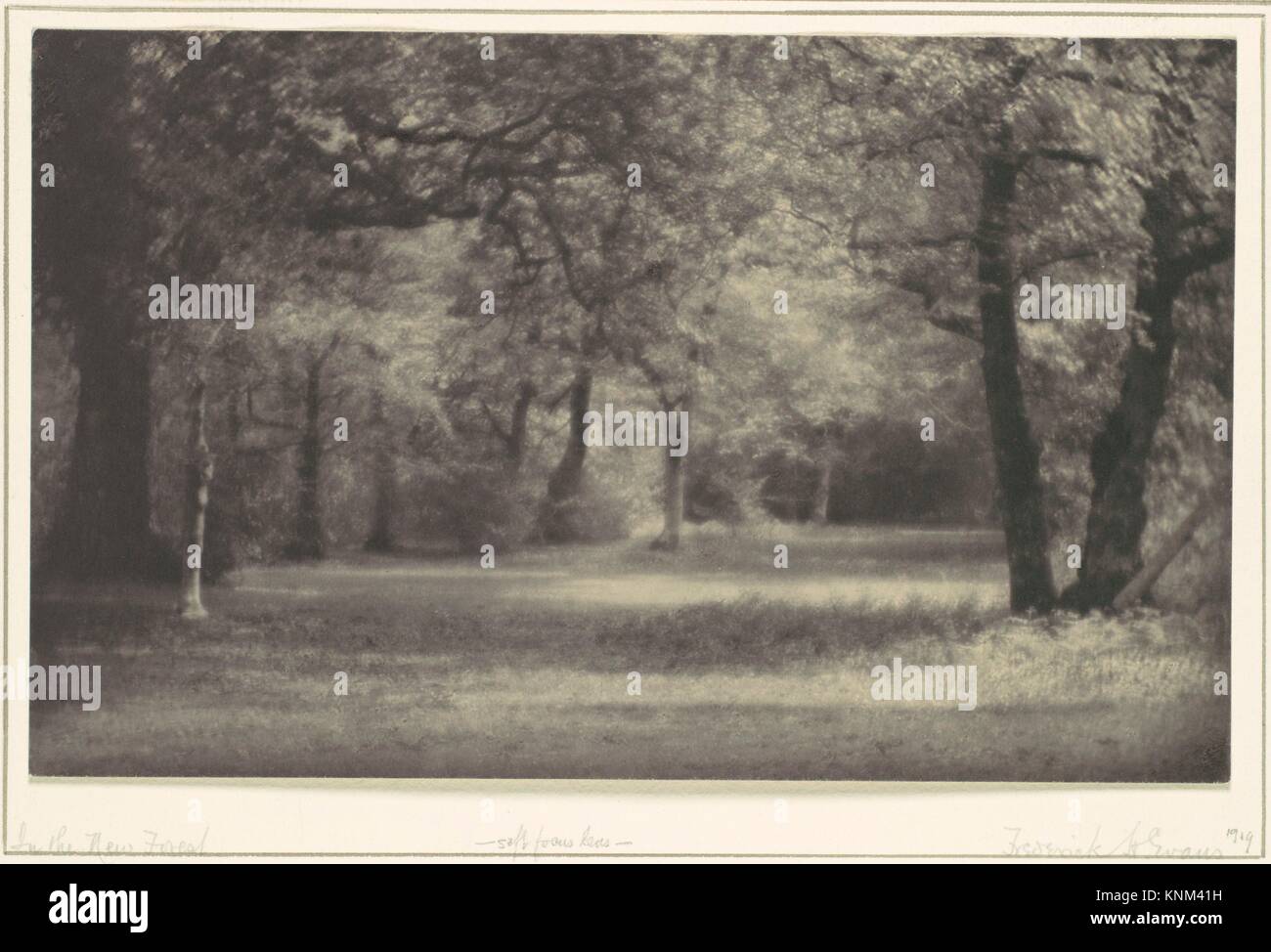 Frederick H Evans High Resolution Stock Photography and Images - Alamy