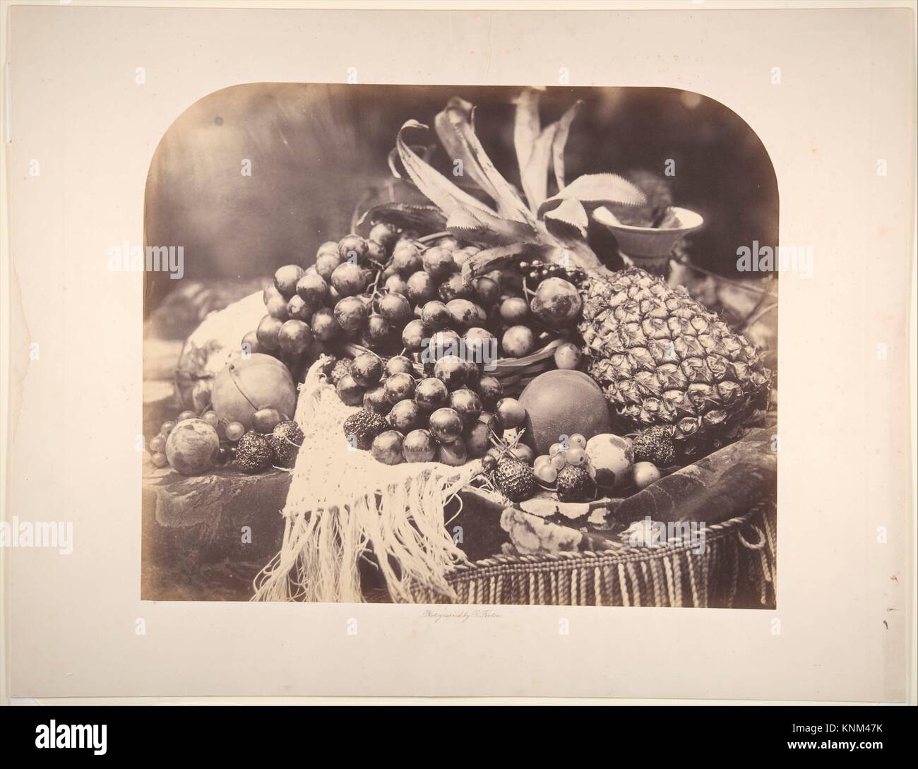 [Still Life with Fruit]. Artist: Roger Fenton (British, 1819-1869 ...