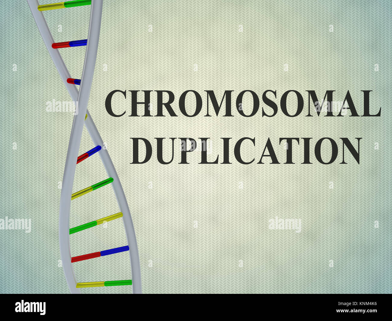 3D illustration of "CHROMOSOMAL DUPLICATION" script with DNA double ...