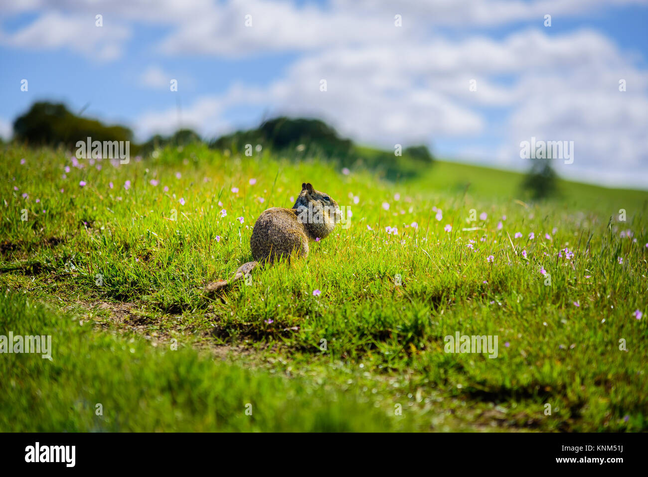 Hungry creatures hi-res stock photography and images - Alamy