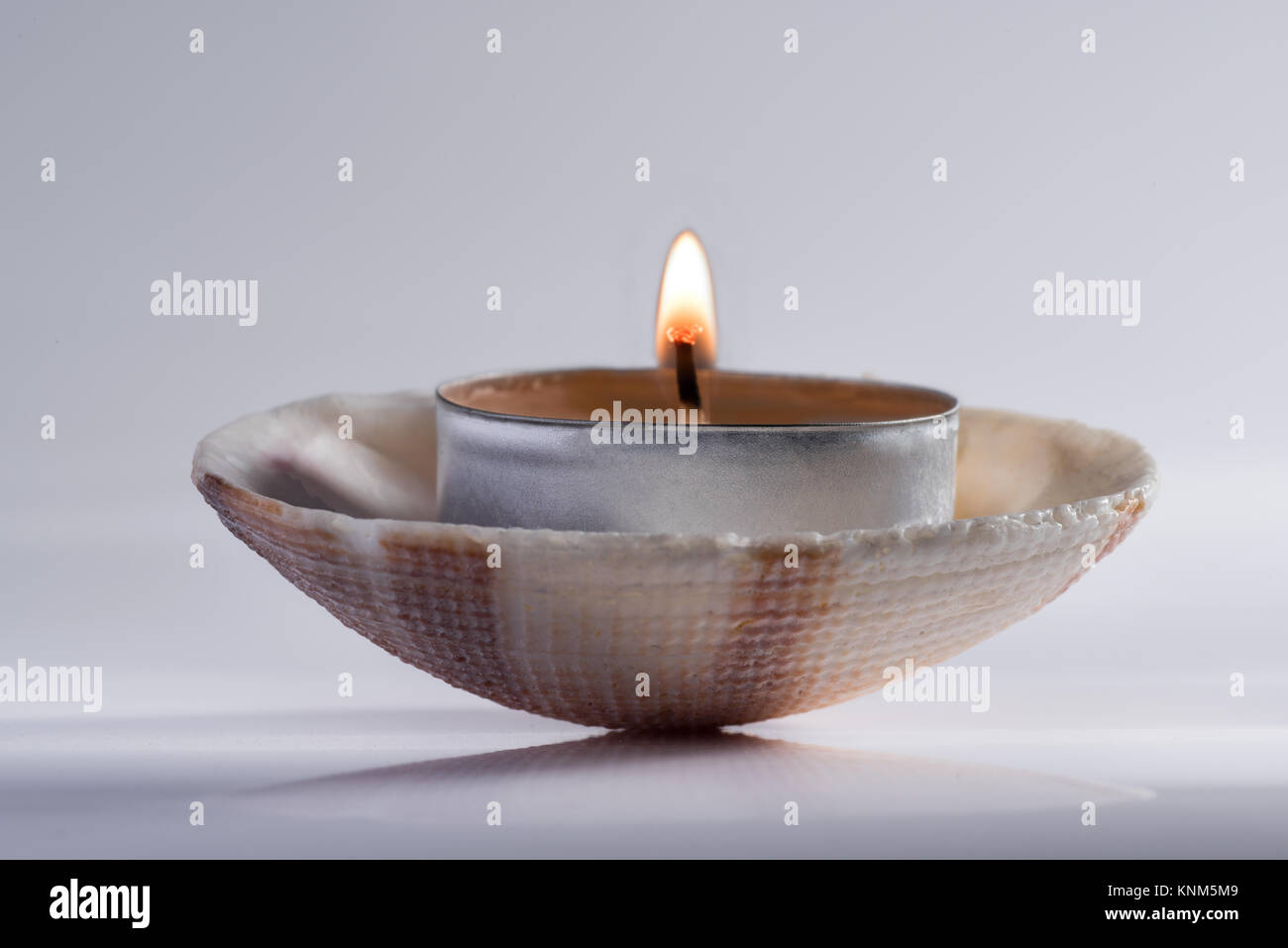 candle in sea shell Stock Photo - Alamy