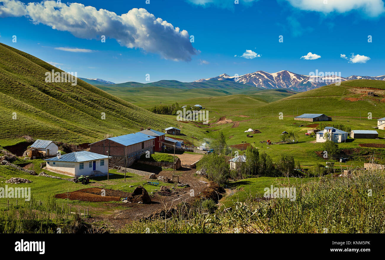 village animal farm Stock Photo - Alamy