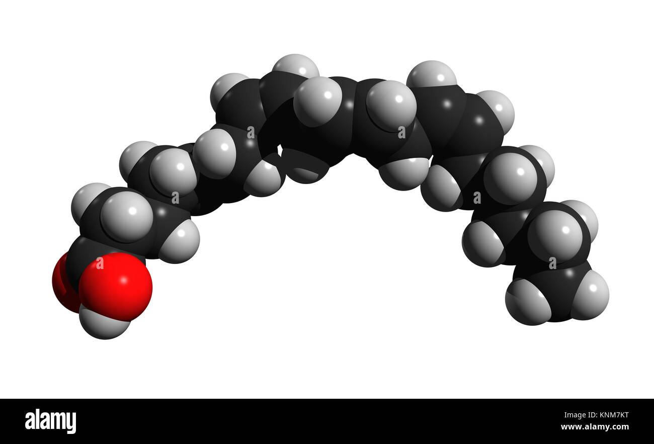 Fatty acid structure hi-res stock photography and images - Alamy