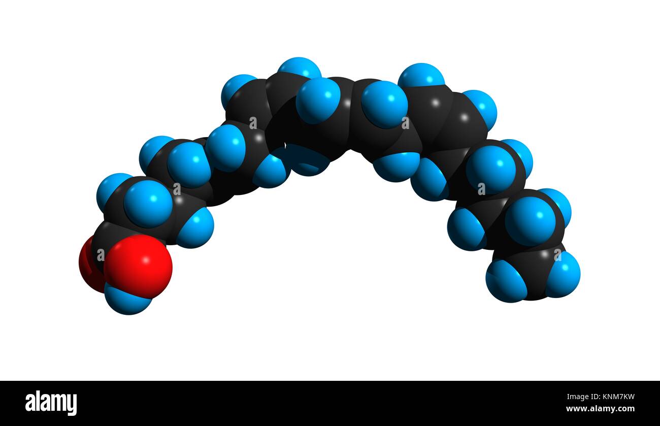 Arachidonic Acid Molecule High Resolution Stock Photography and Images ...