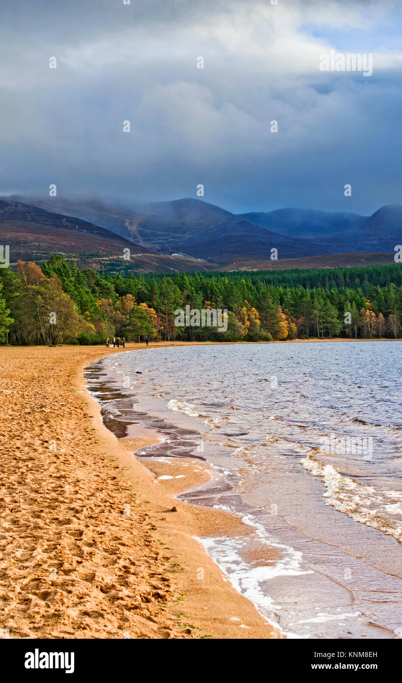 People walking on the sandy beach at Loch Morlich,Glenmore, Scottish ...