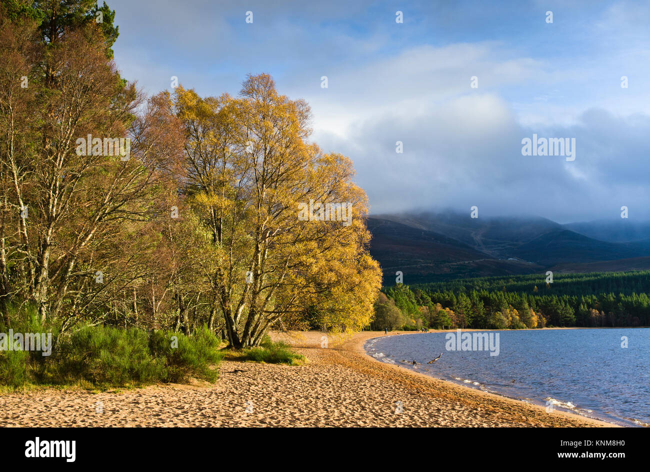 Loch morlich beach hi-res stock photography and images - Alamy