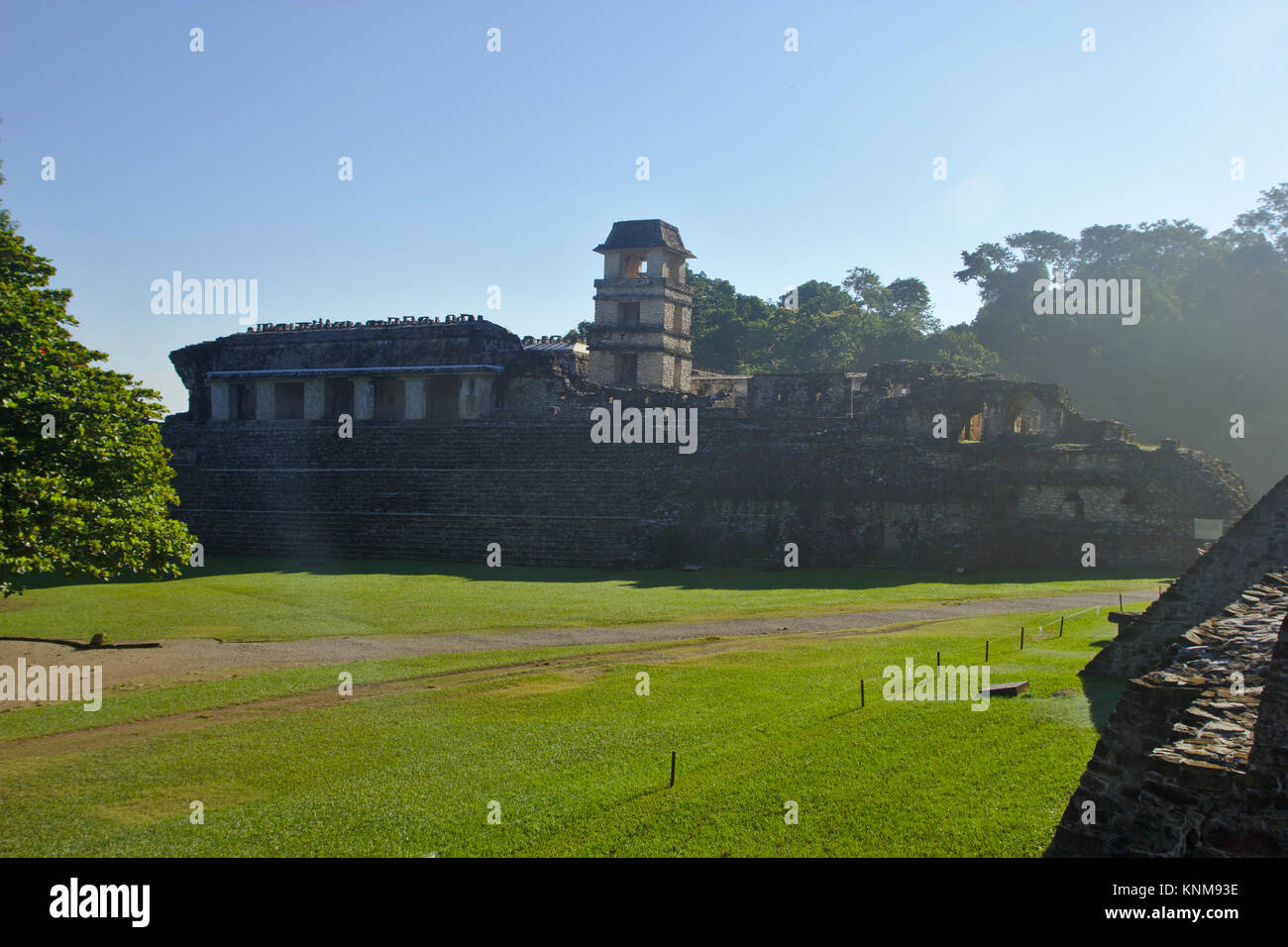Palace palenque chiapas mexico hi-res stock photography and images - Alamy