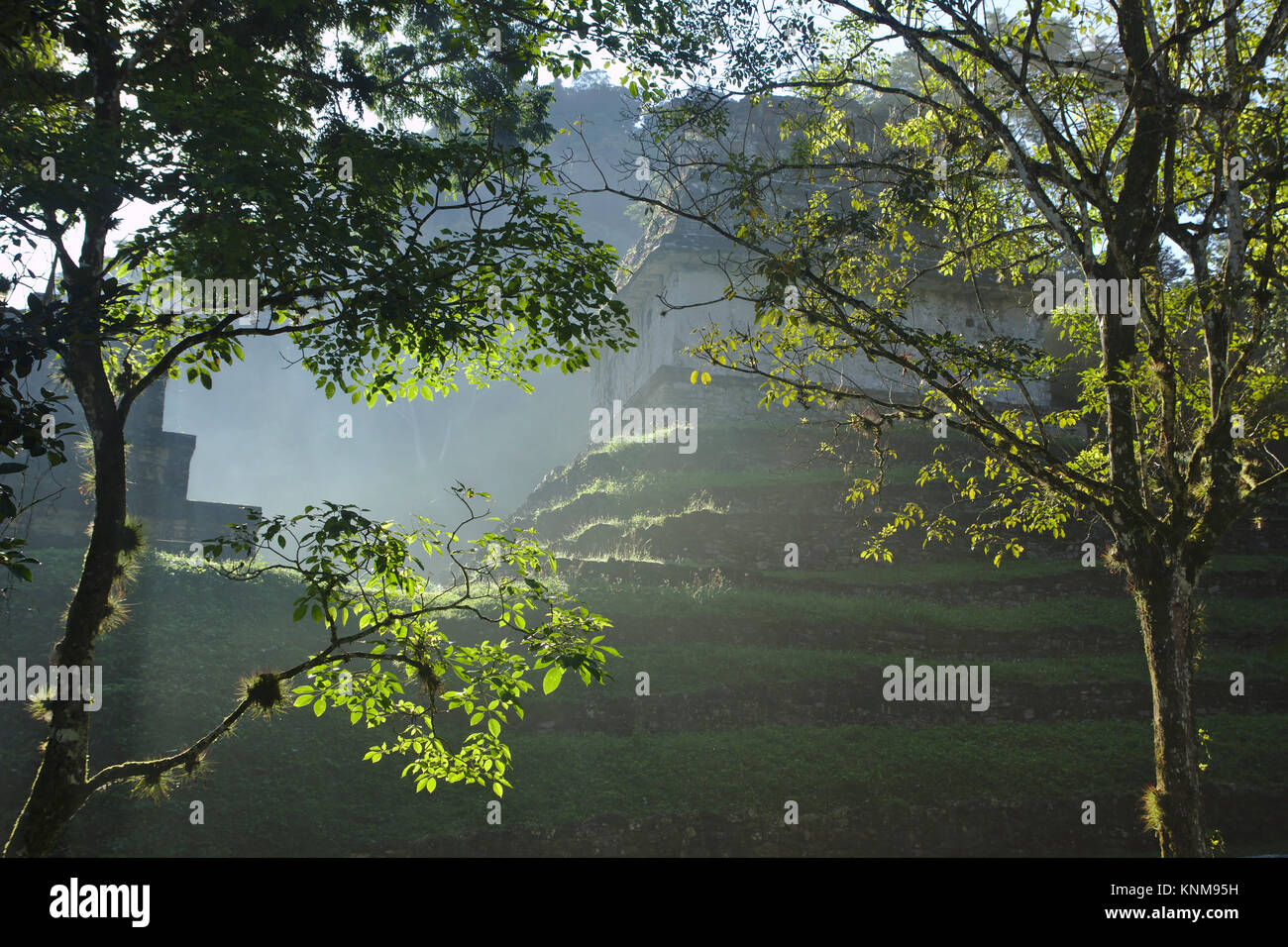 Palenque, Temples of the Cross group in morning light, Chiapas, Mexico ...