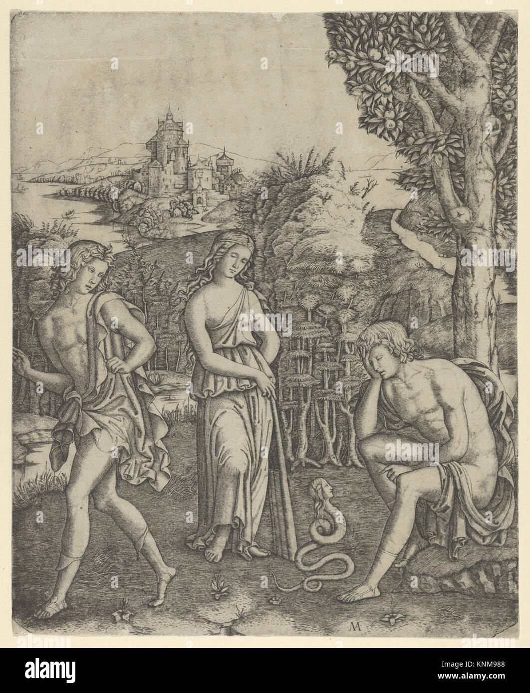 Standing snake hi-res stock photography and images - Alamy