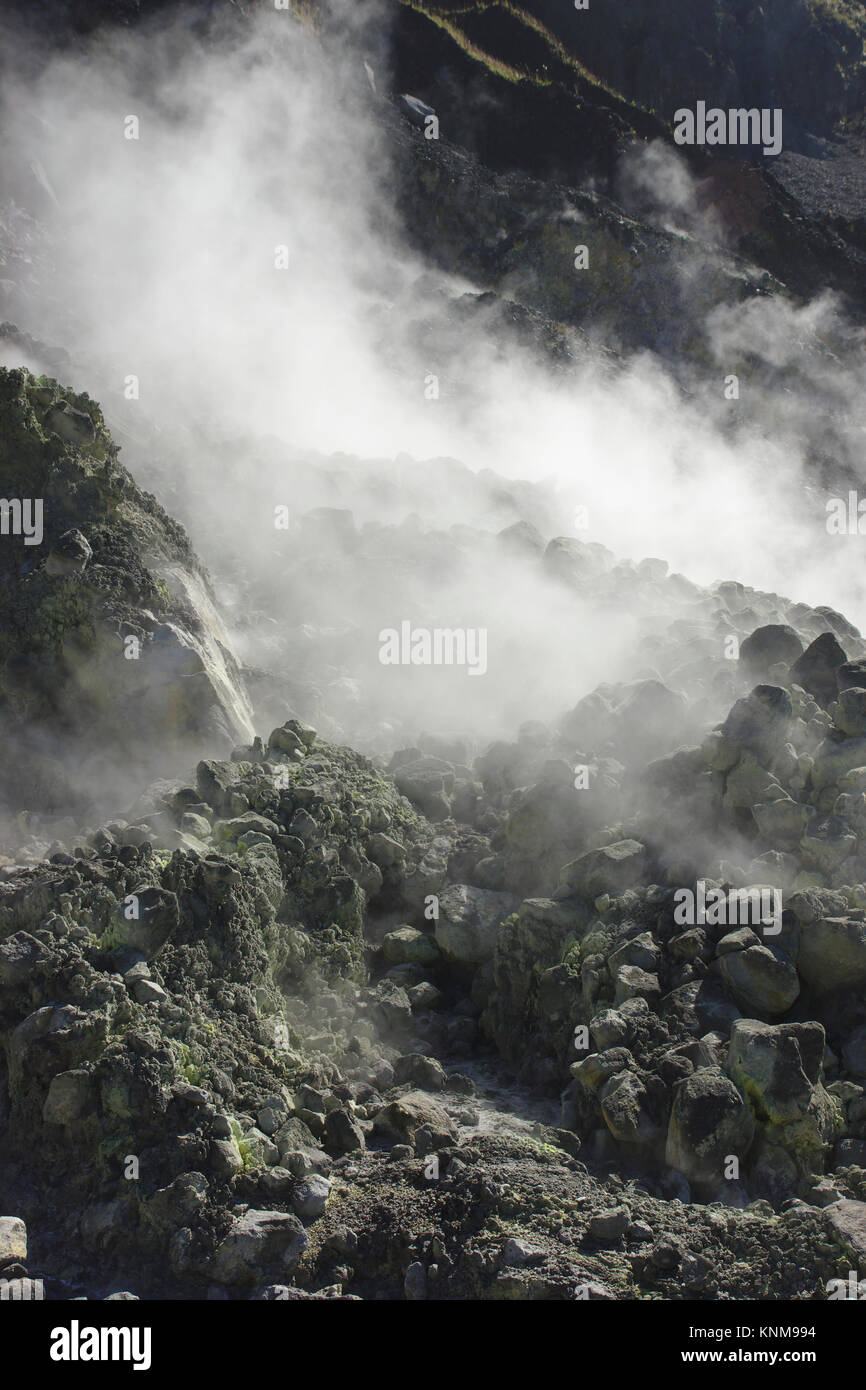 El Chichón (Chichonal), fumaroles in the crater, Chiapas, Mexico Stock ...