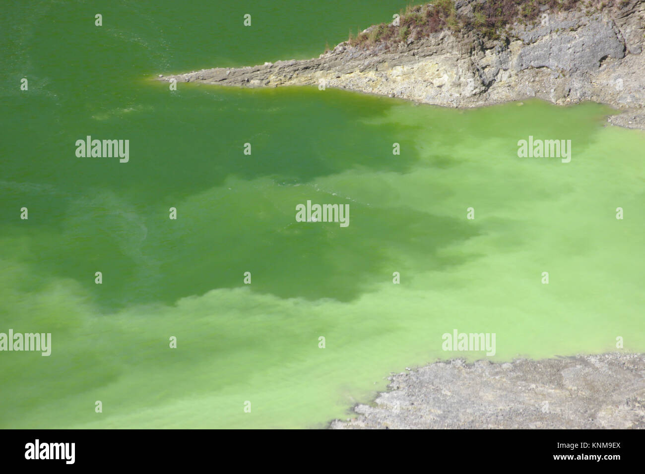 El Chichón (Chichonal) crater lake, Chiapas, Mexico Stock Photo - Alamy