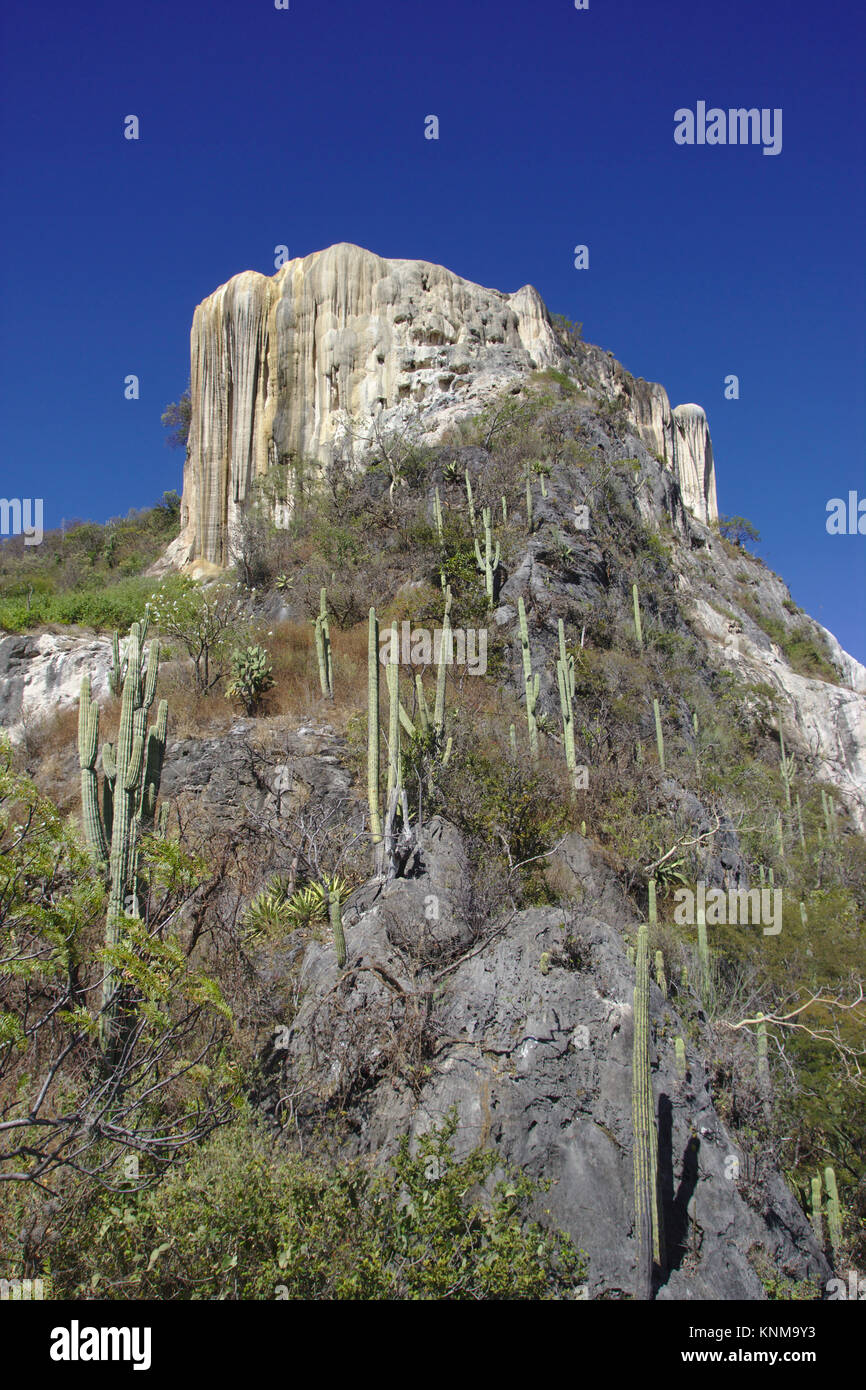 Petrificadas hi-res stock photography and images - Alamy