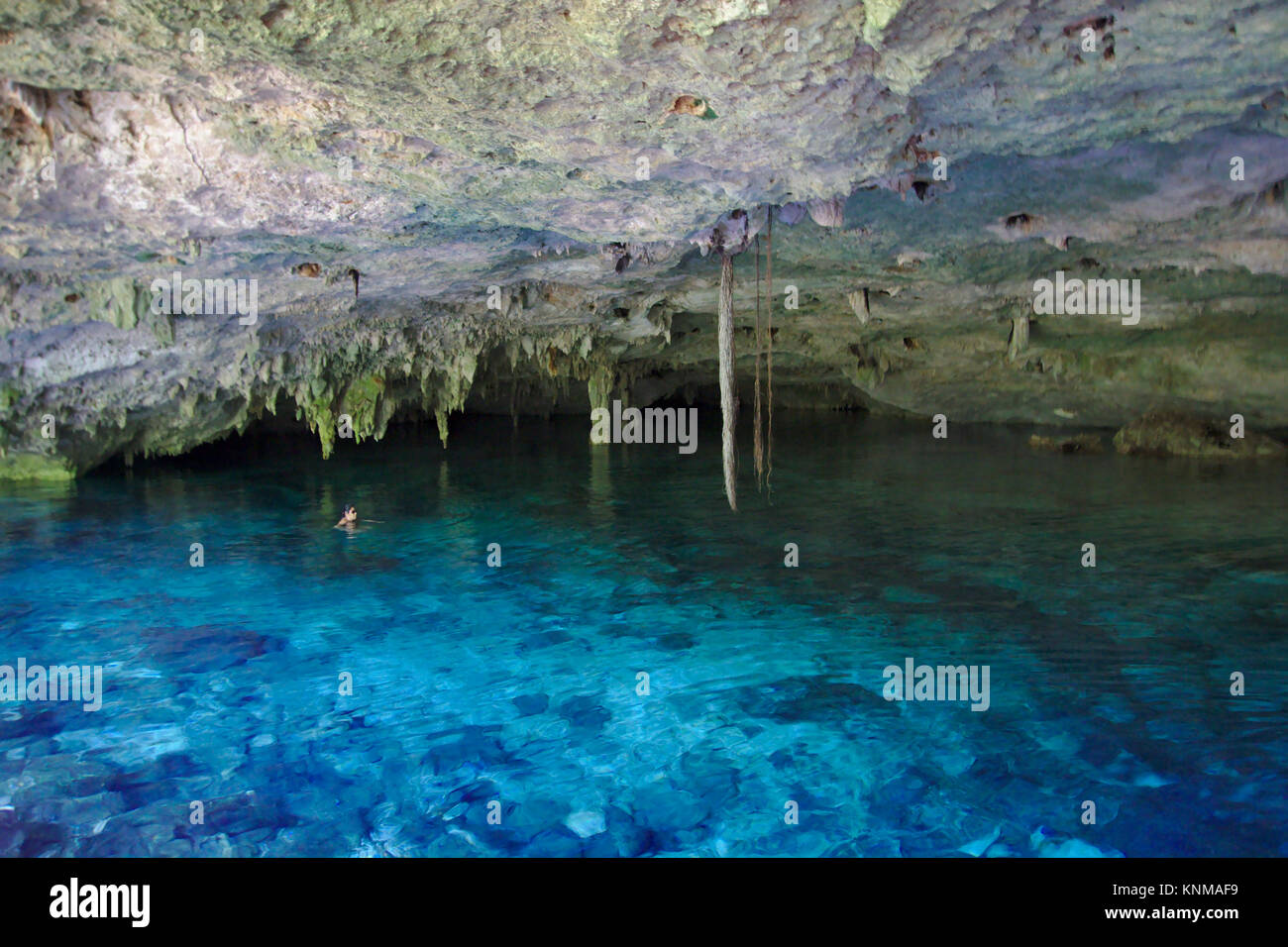 Cenote Dos Ojos near Tulum, Mexico Stock Photo - Alamy