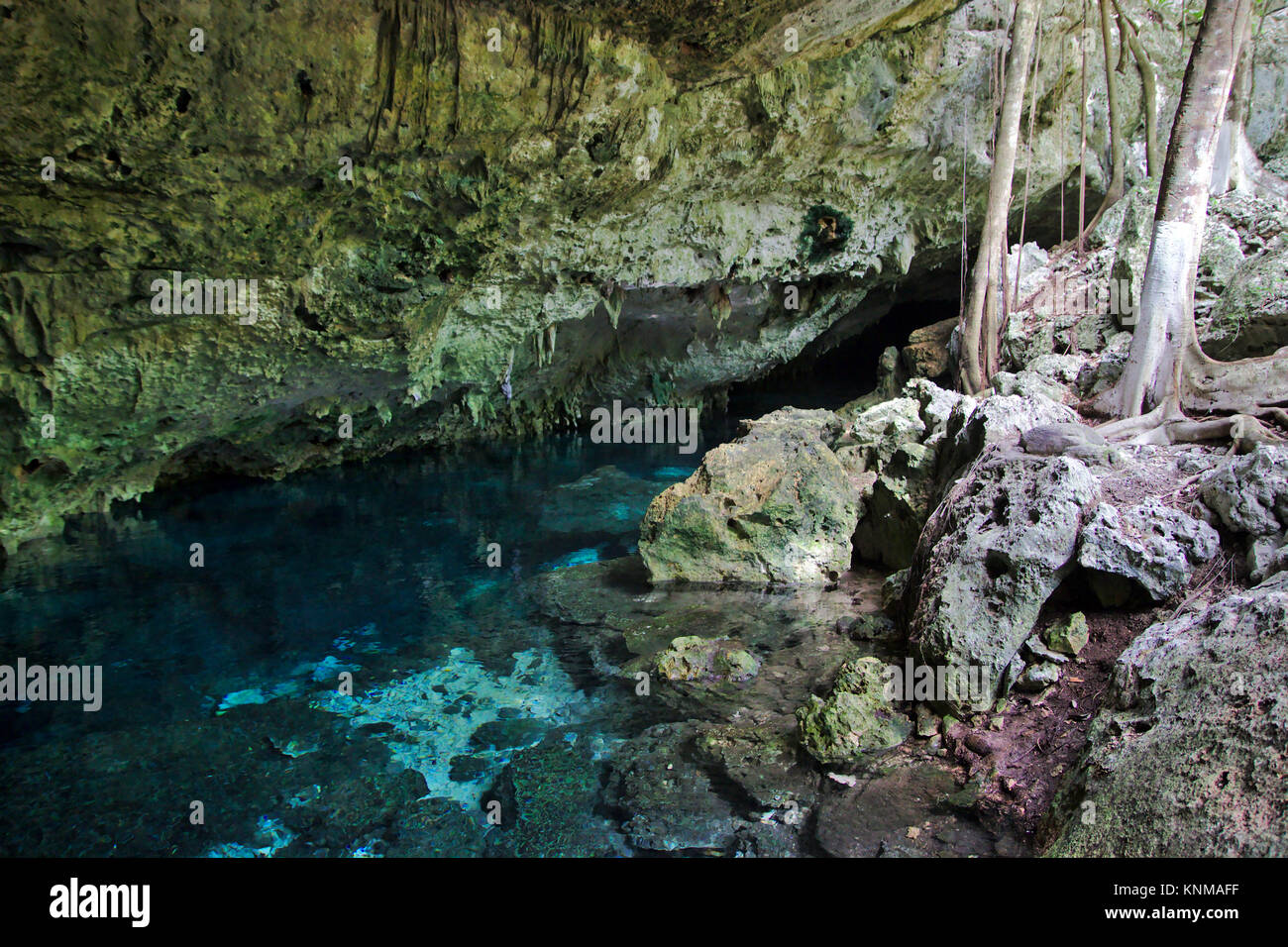 Cenote Dos Ojos near Tulum, Mexico Stock Photo - Alamy
