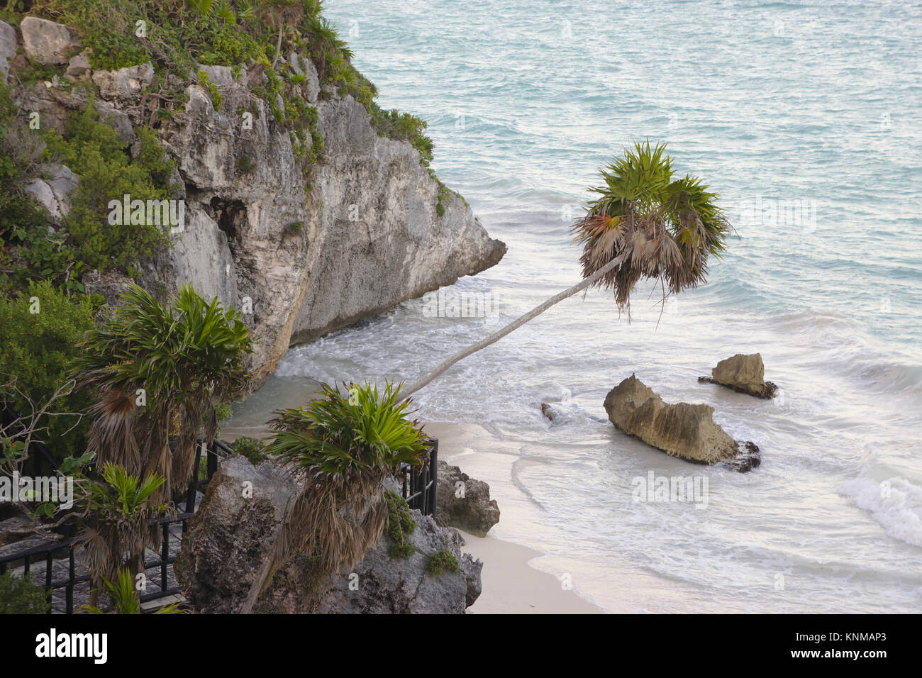 Tulum Ruins, palm tree, beach and limestone cliff, Mexico Stock Photo ...
